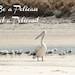 Positive Quote Digital Download, 'be a Pelican Not a Pelicant ...