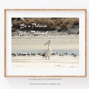 Positive Quote Digital Download, 'be a Pelican Not a Pelicant ...