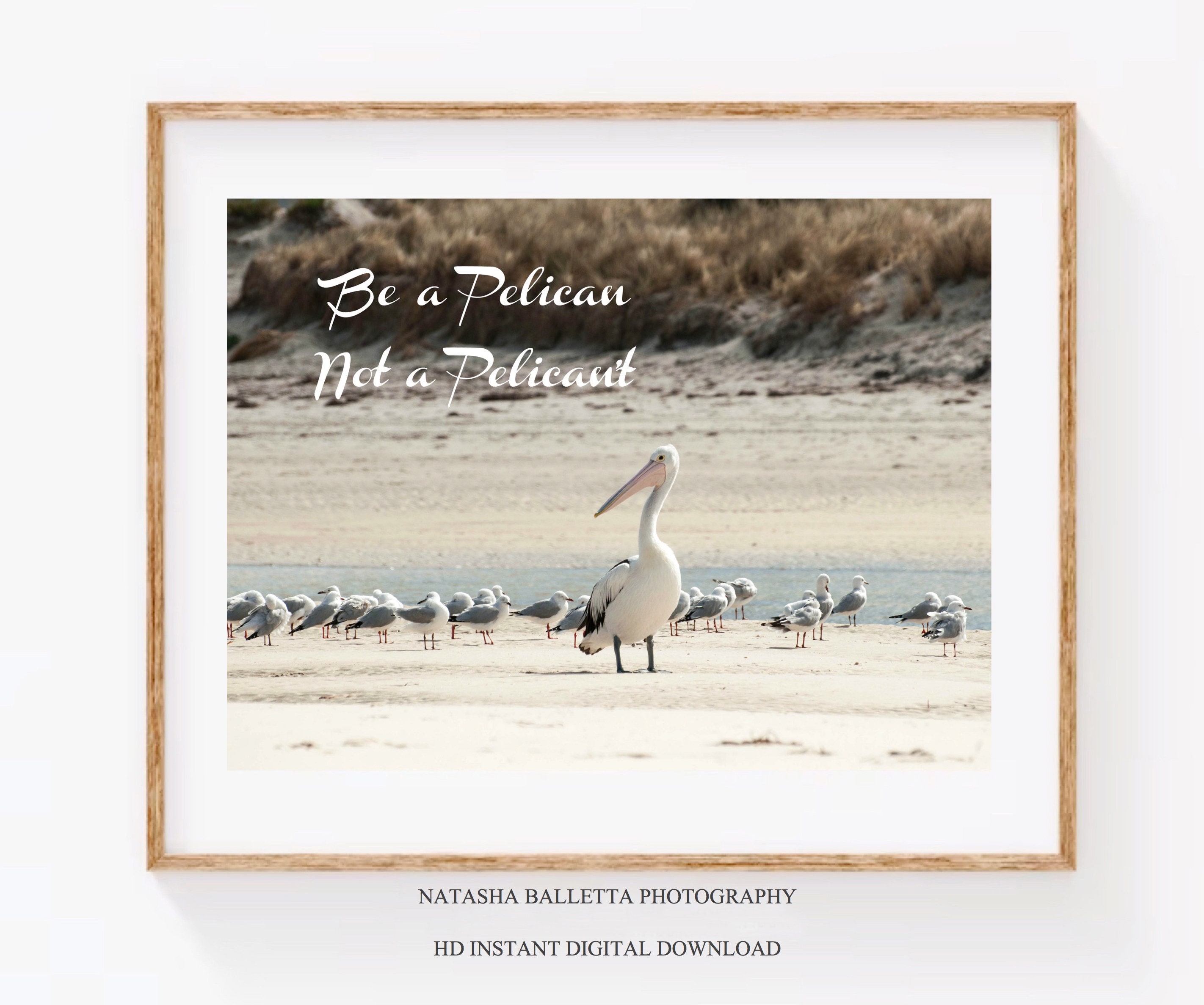 Positive Quote Digital Download, 'be a Pelican Not a Pelicant ...