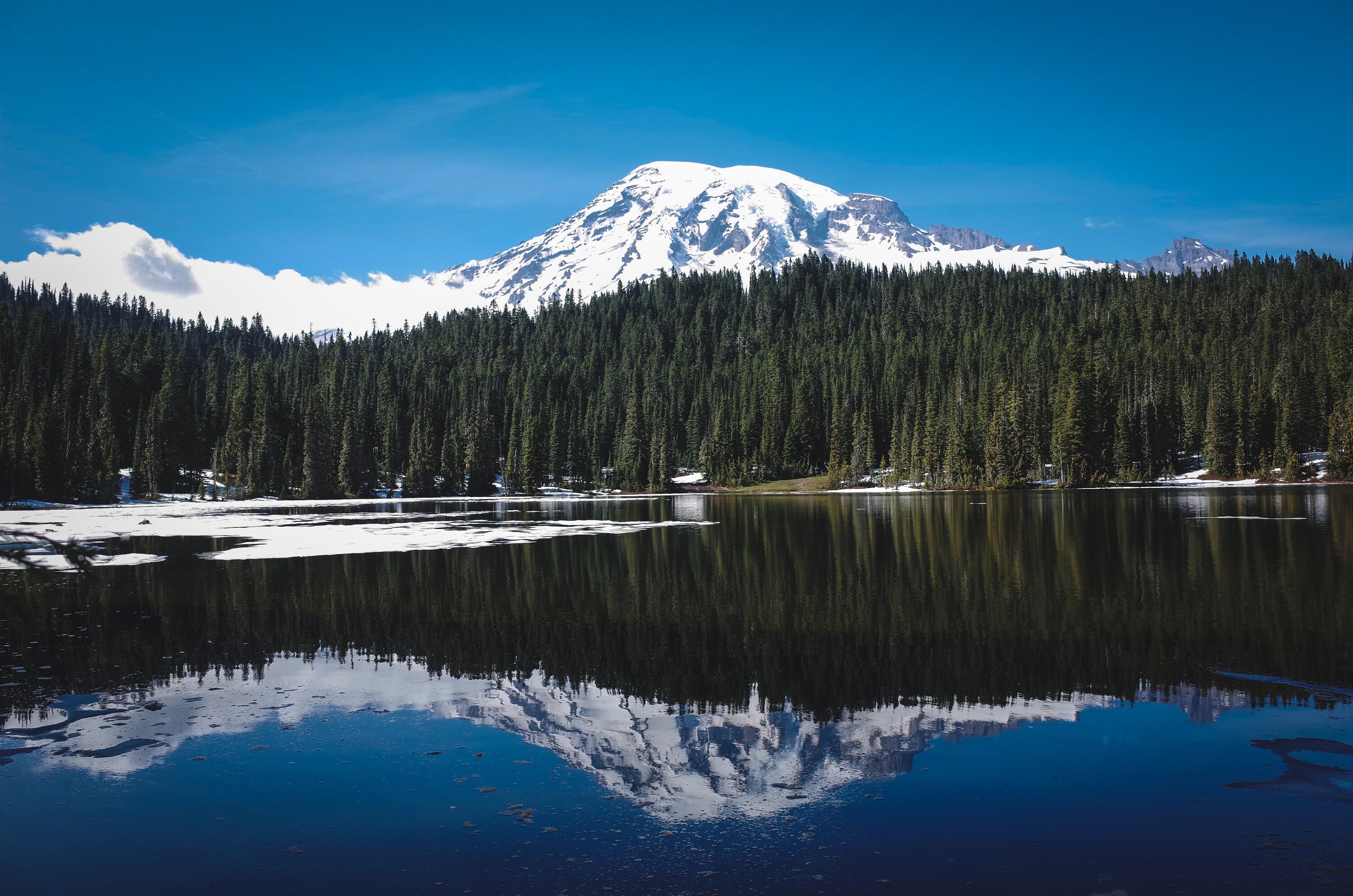 Reflection Lake - Mt. Rainier National Park, Forest, Seattle, Mountains ...