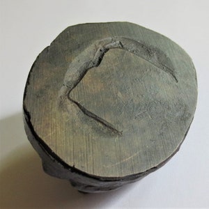 Super Detailed Bronze Figurine of Turtle and Annoying Lizard. Signed ...