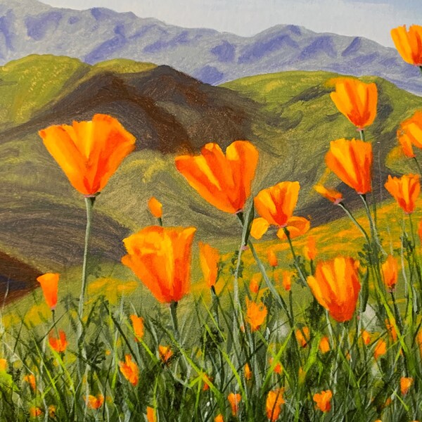 California Poppy Art - Etsy