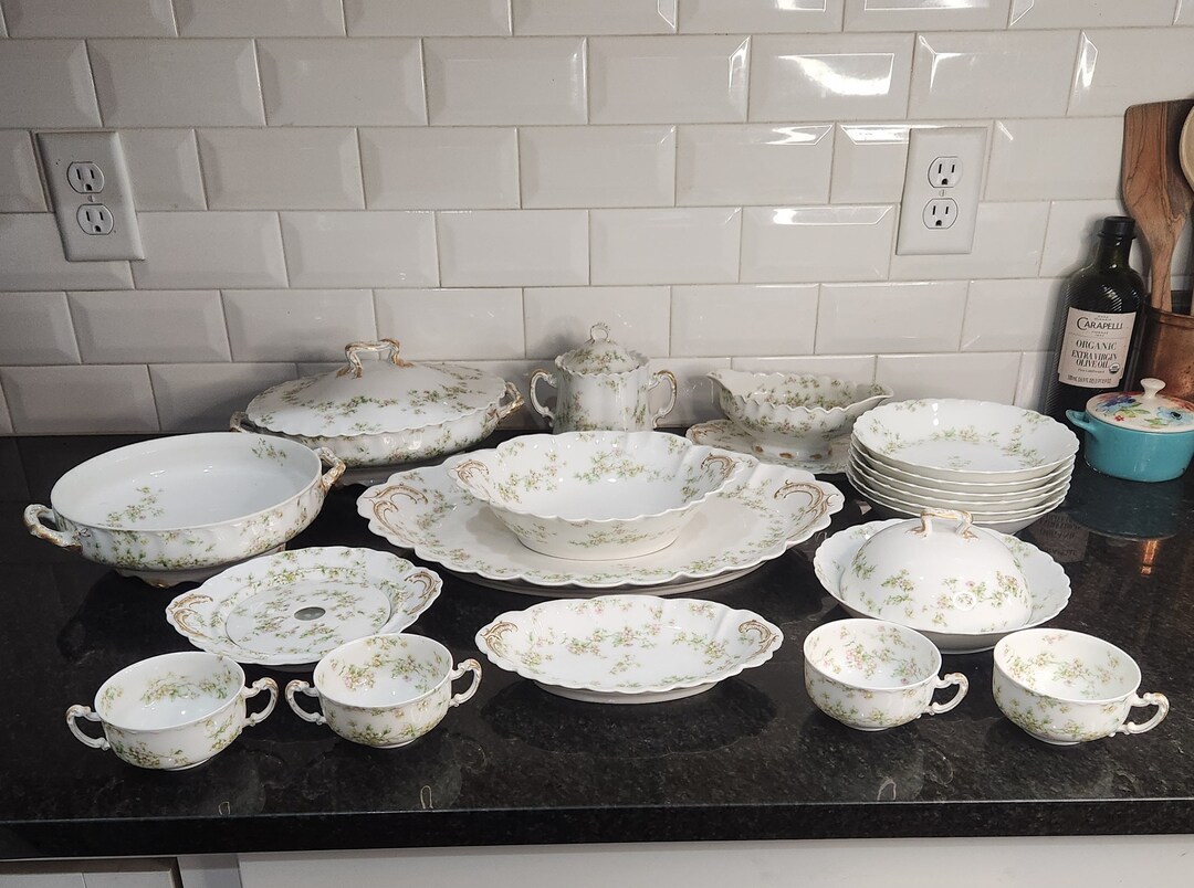 1900s Antique 19 Piece Set Haviland Limoges Schleiger 74 Green & Pink ...