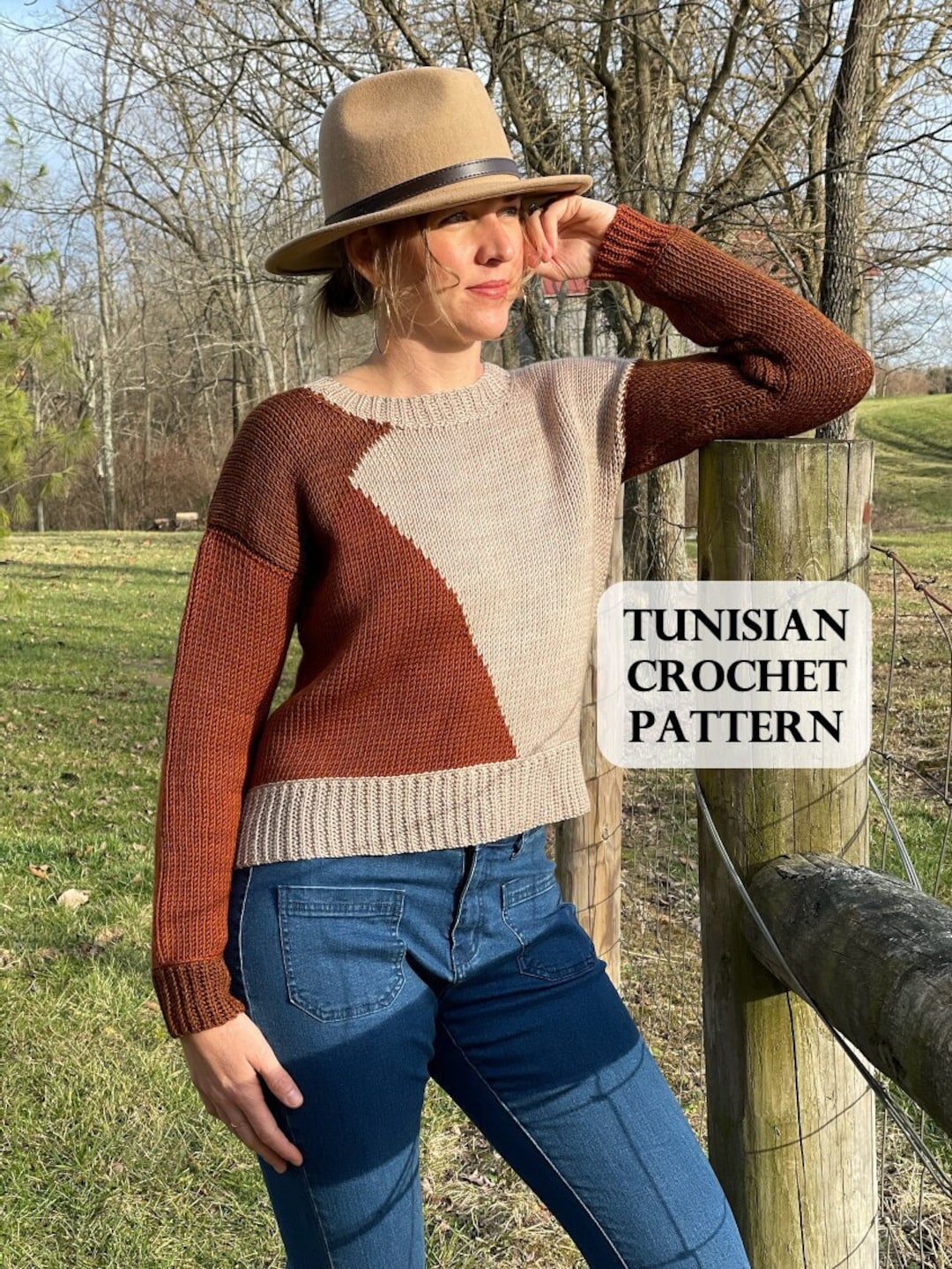 PATTERN, Influencer Sweater, Tunisian Crochet Sweater, Colorblock ...