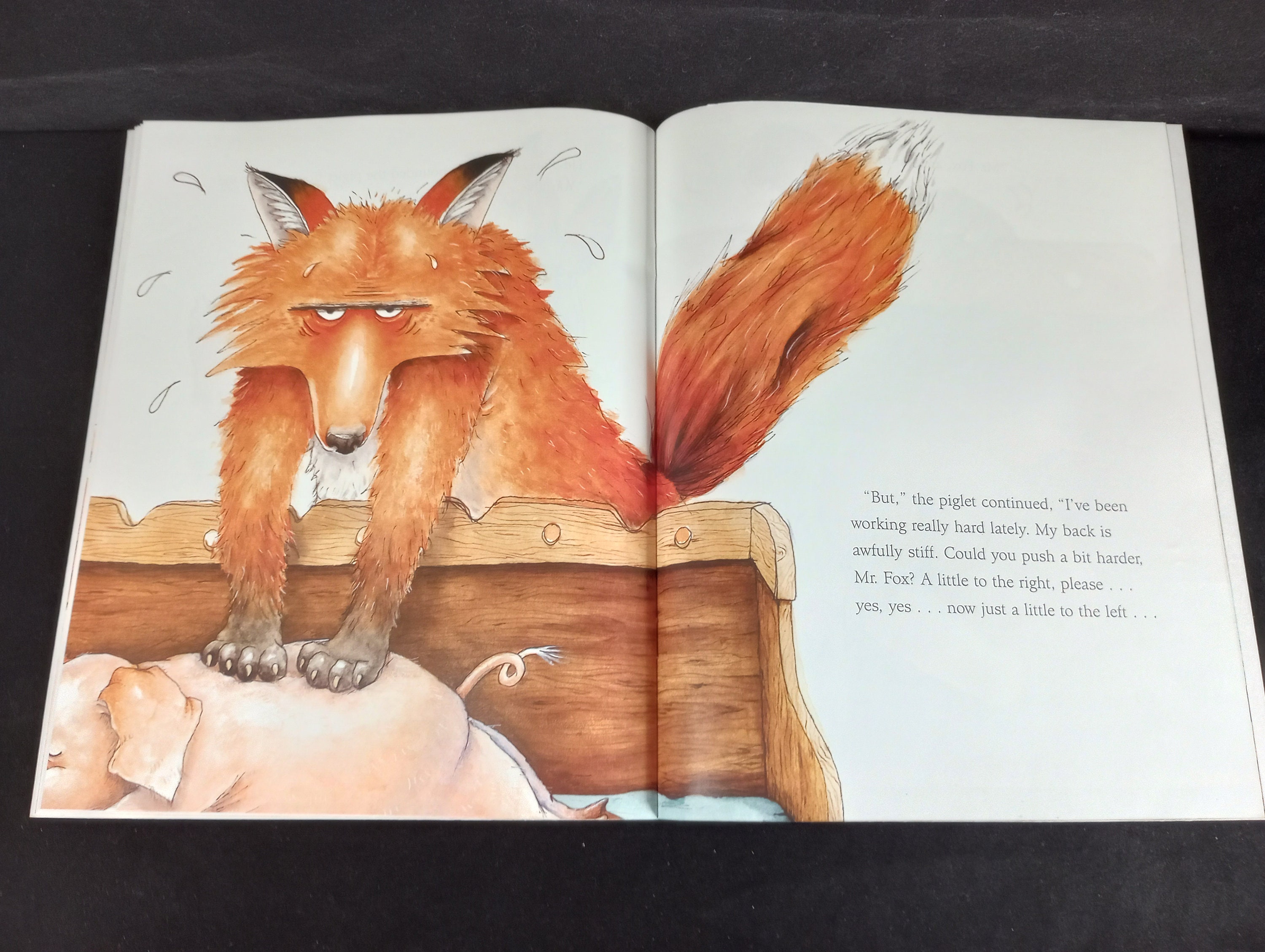 My Lucky Day Children's Book by Keiko Kasza - Etsy