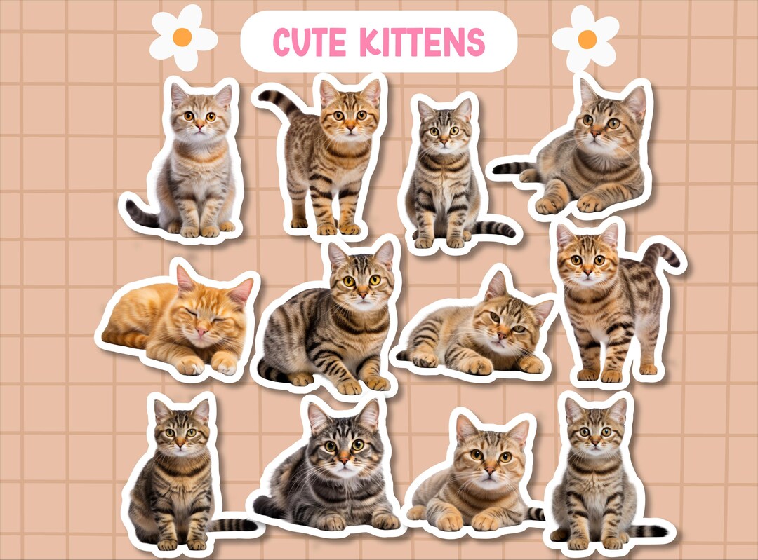 Cat Stickers, Sticker Pack, Kawaii Stickers, Cute Vinyl Sticker ...