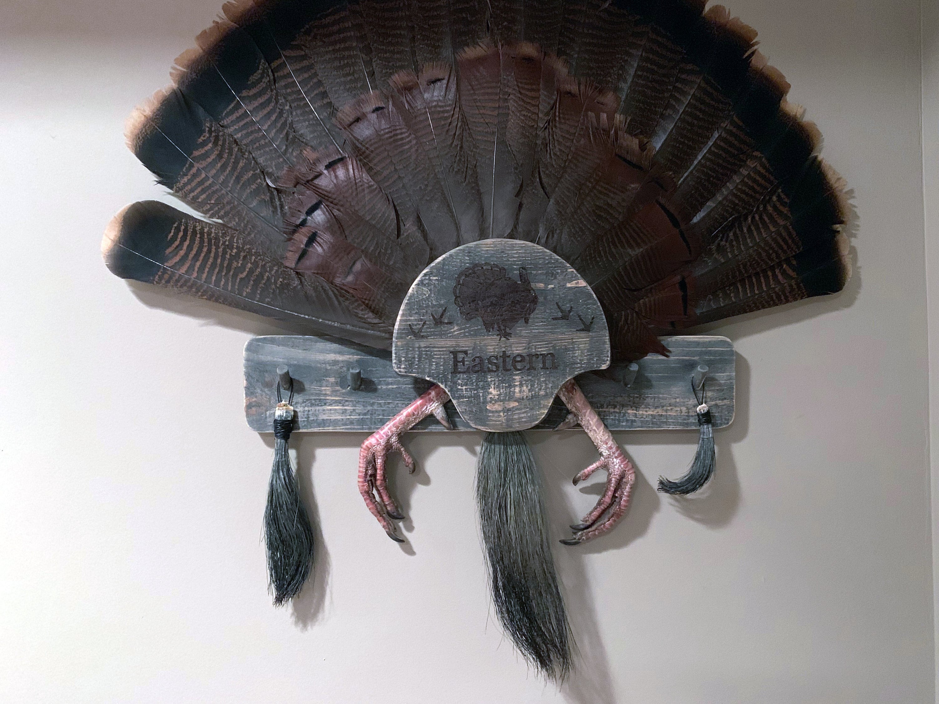 Turkey Fan Mount, Multiple Beards. - Etsy