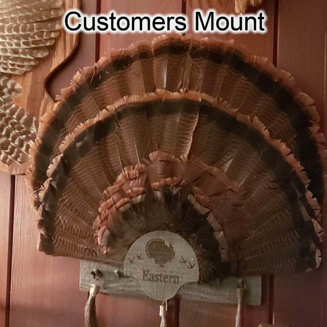 Turkey Fan Mount Multiple Beards. - Etsy