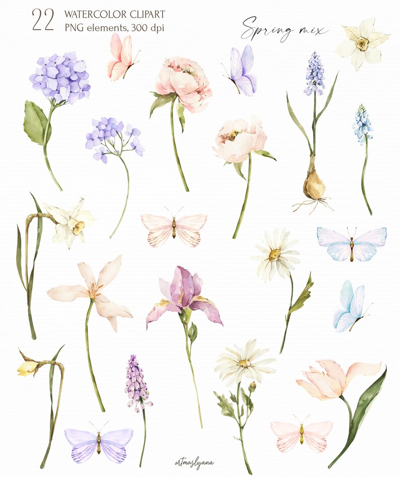 Watercolor Spring Flowers Butterflies Clipart Mix. Digital - Etsy