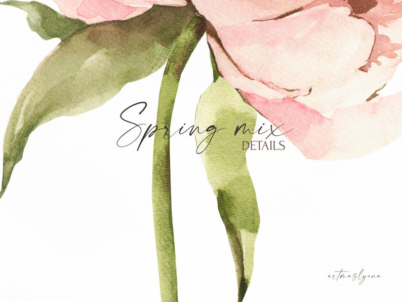 Watercolor Spring Flowers Butterflies Clipart Mix. Digital - Etsy