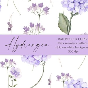 Watercolor Hydrangea Flower Seamless Pattern. Tender Digital Paper for ...