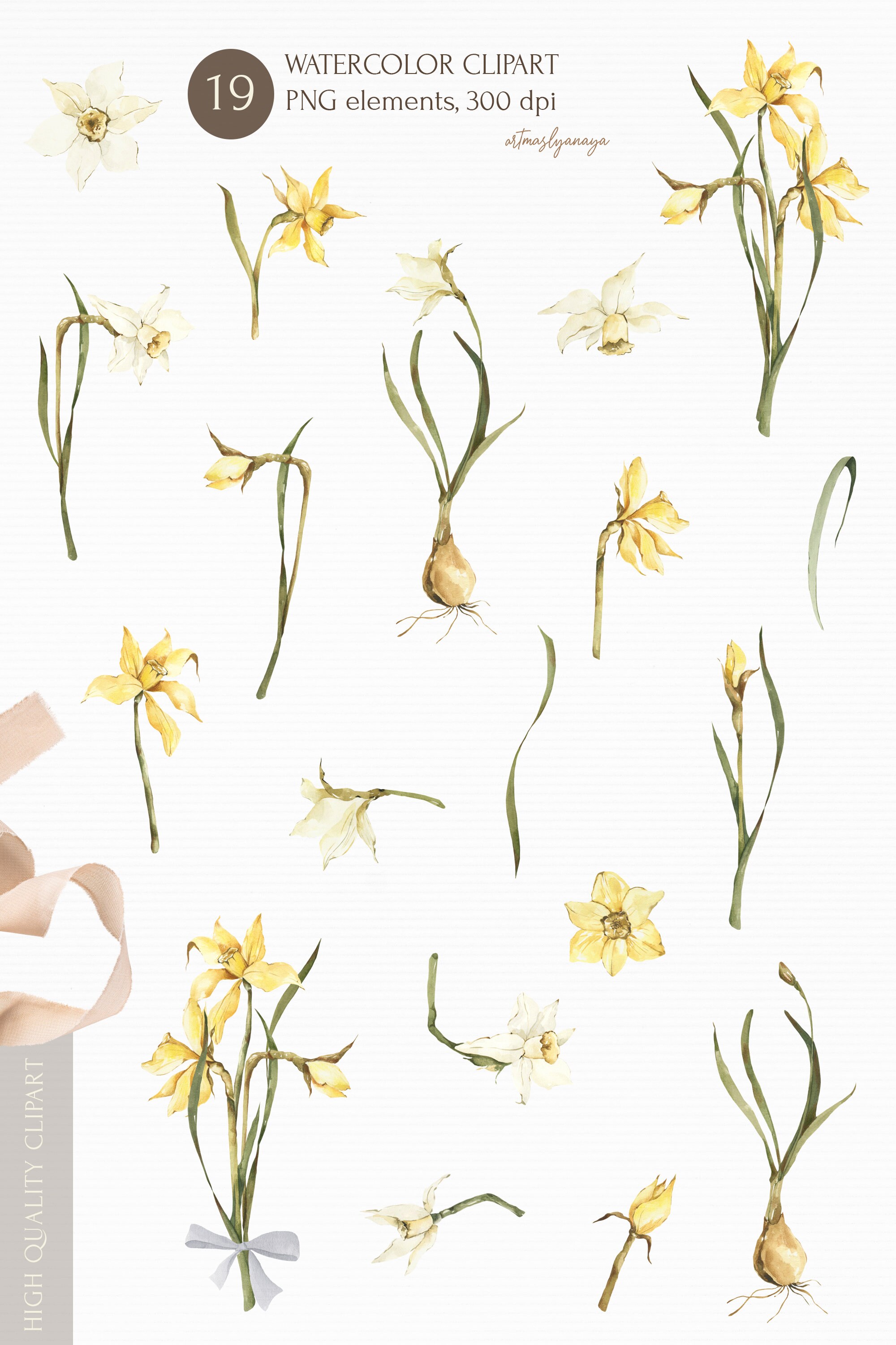 Watercolor Floral Clipart, Daffodils Spring Collection of Blooming ...