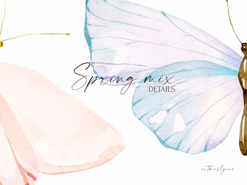 Watercolor Spring Flowers Butterflies Clipart Mix. Digital - Etsy