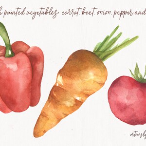 Watercolor Fresh Vegetables Clipart Set for Instant Download. PNG Hand ...