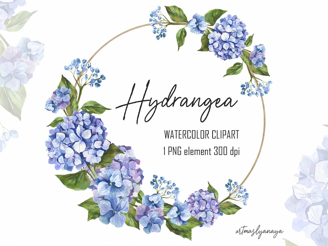 Watercolor Digital Floral Wreath Clipart for Design. Hydrangea Flowers ...