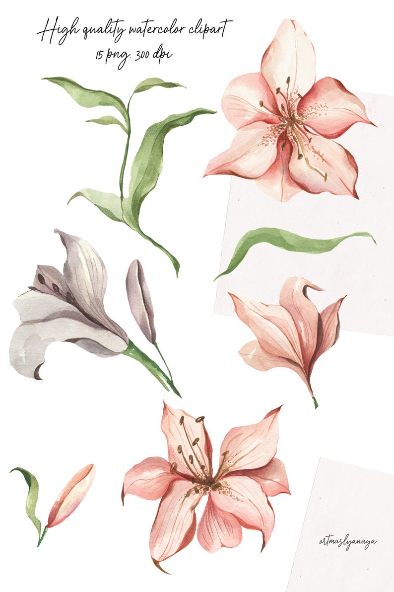 Watercolor Digital Clipart of Lilies. Hand Painted Flower Set for ...