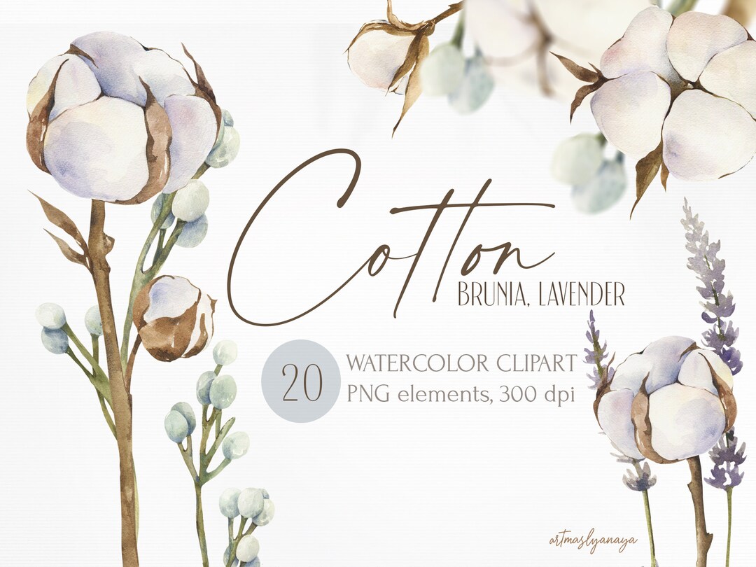 Watercolor Cotton Lavender Brunia Floral Clipart for Instant Download ...