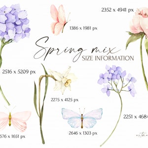 Watercolor Spring Flowers, Butterflies Clipart Mix. Digital Blossom ...