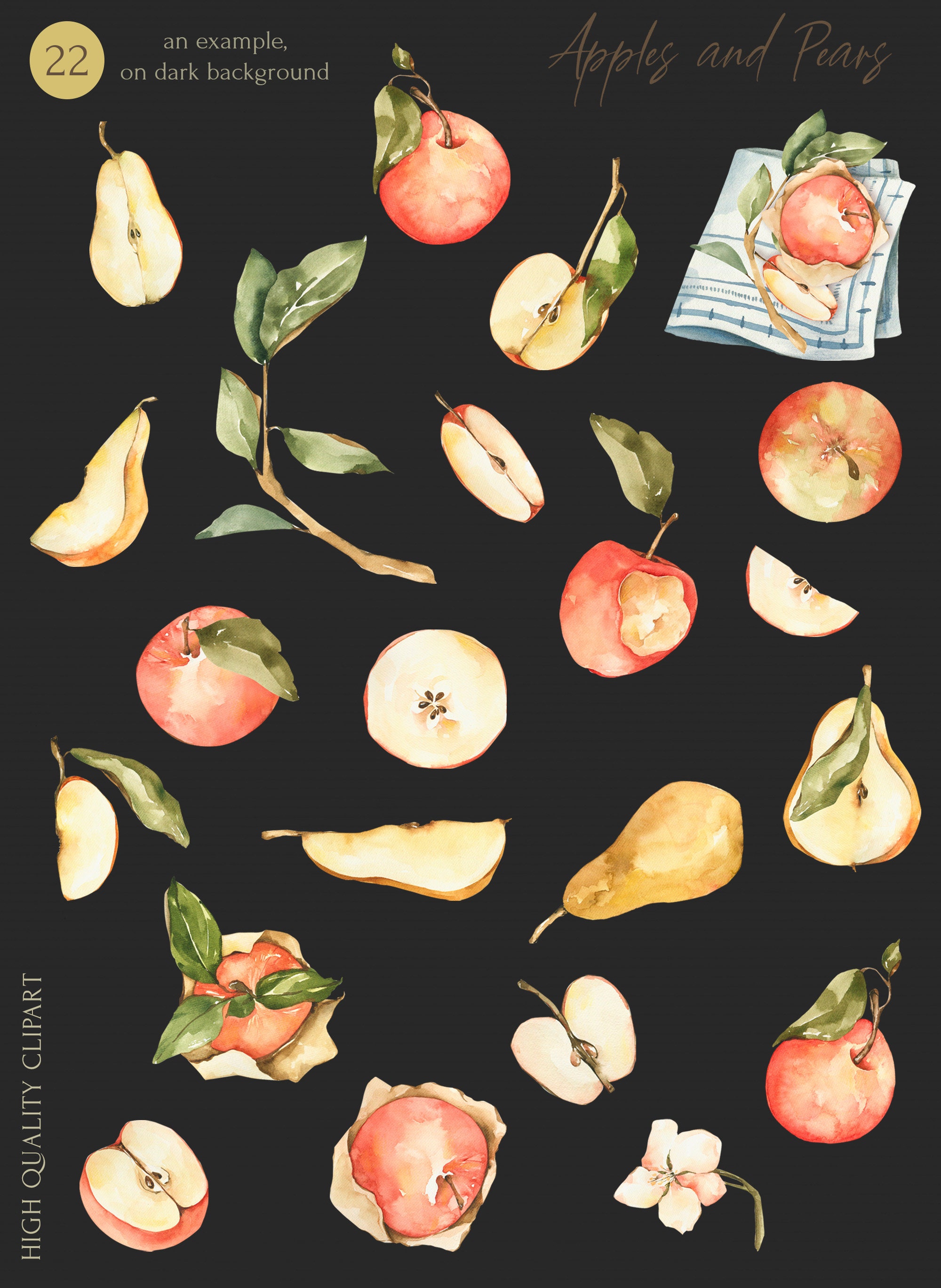 Watercolor Apples and Pears clipart. Autumn summer harvest of | Etsy