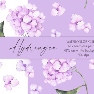 Watercolor Hydrangea Flower Seamless Pattern. Tender Digital Paper for ...