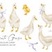 Watercolor Geese Clipart, Cute Goose Illustrations, Farm Animals ...