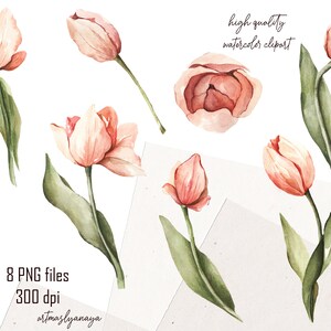 Watercolor Tulips Clipart, Coral Pink Color. Hand Drawn Digital Images ...