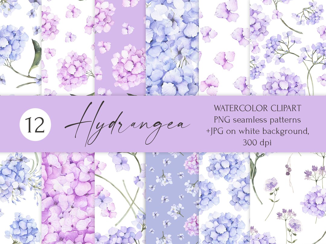 Watercolor Hydrangea Flower Seamless Pattern. Tender Digital Paper for ...