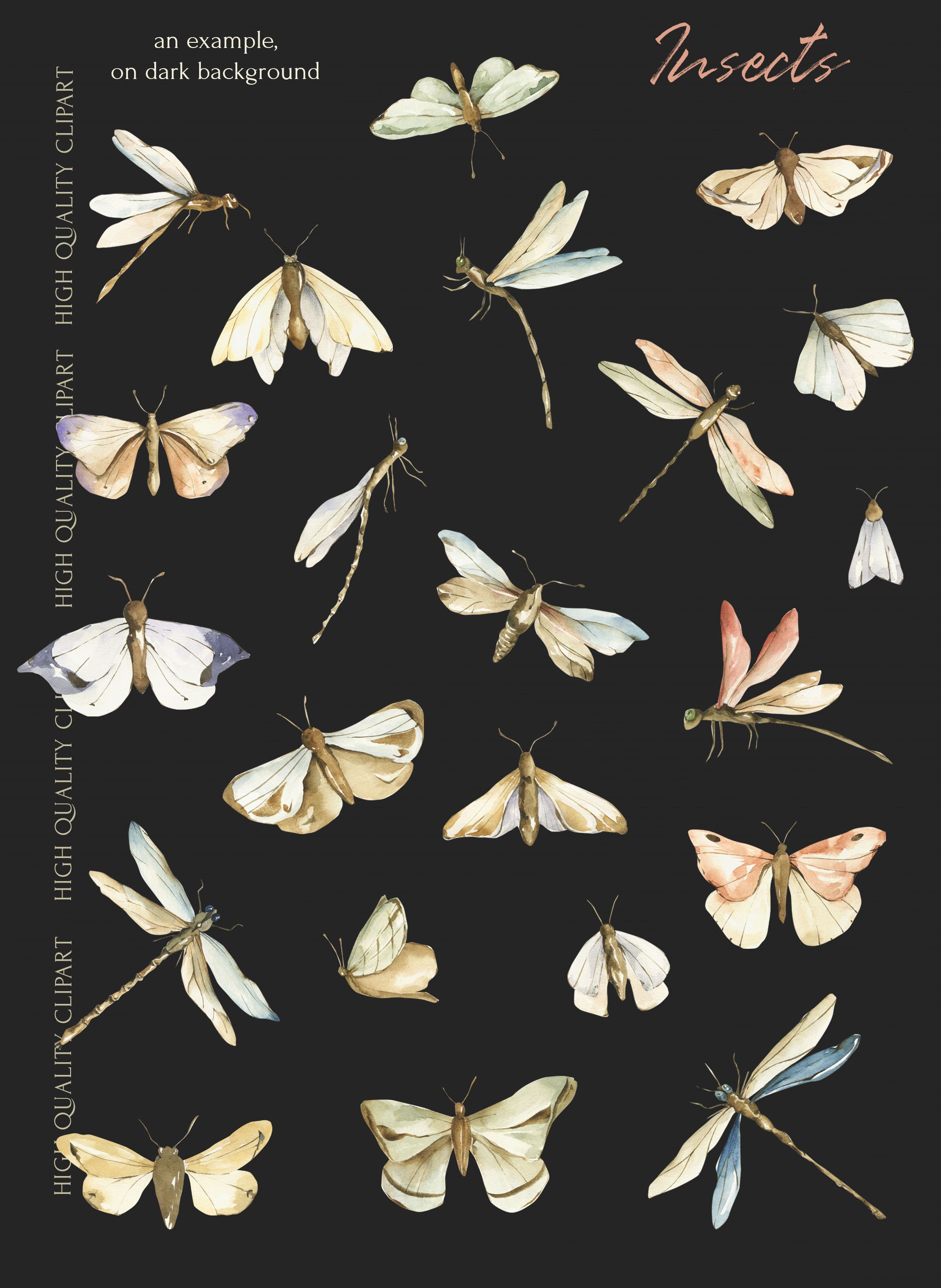 Watercolor Insects PNG Clipart. Butterfly Moth Dragonfly - Etsy