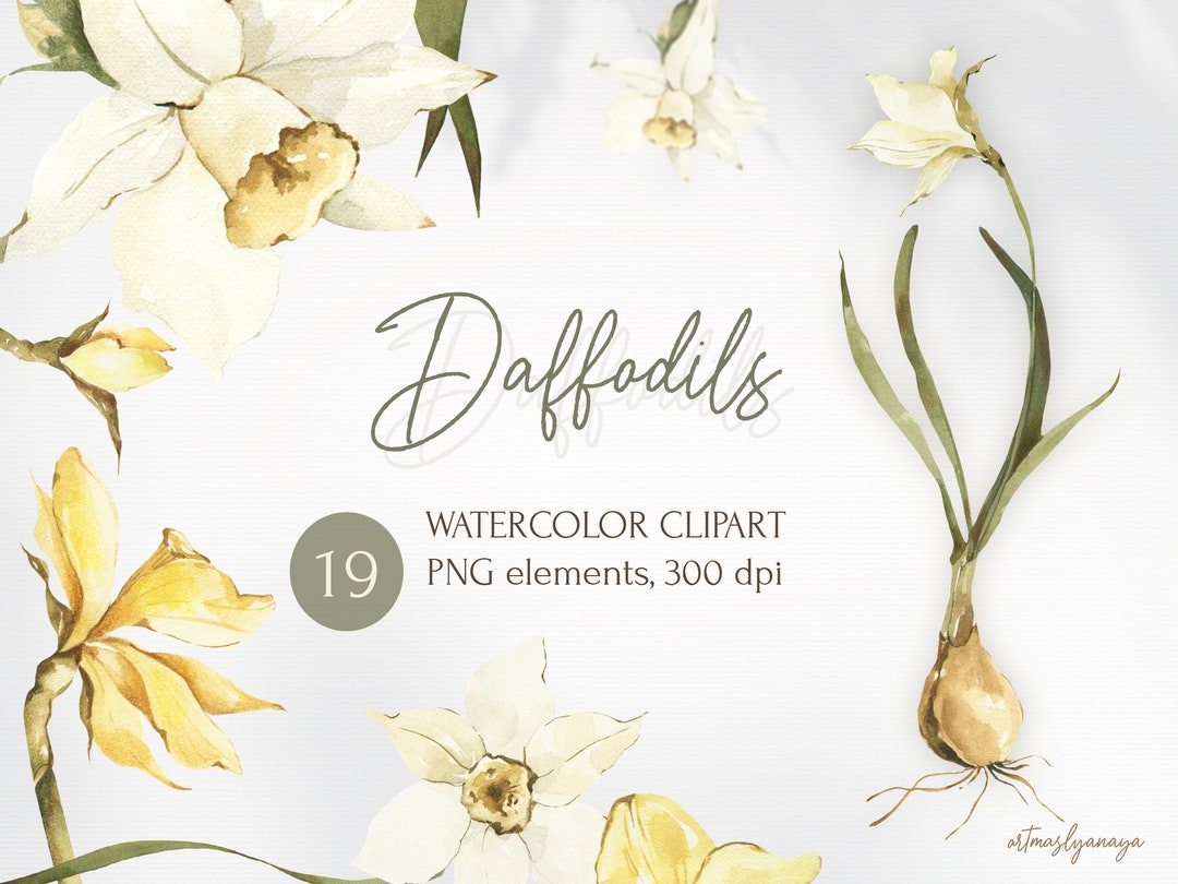 Watercolor Floral Clipart, Daffodils Spring Collection of Blooming ...