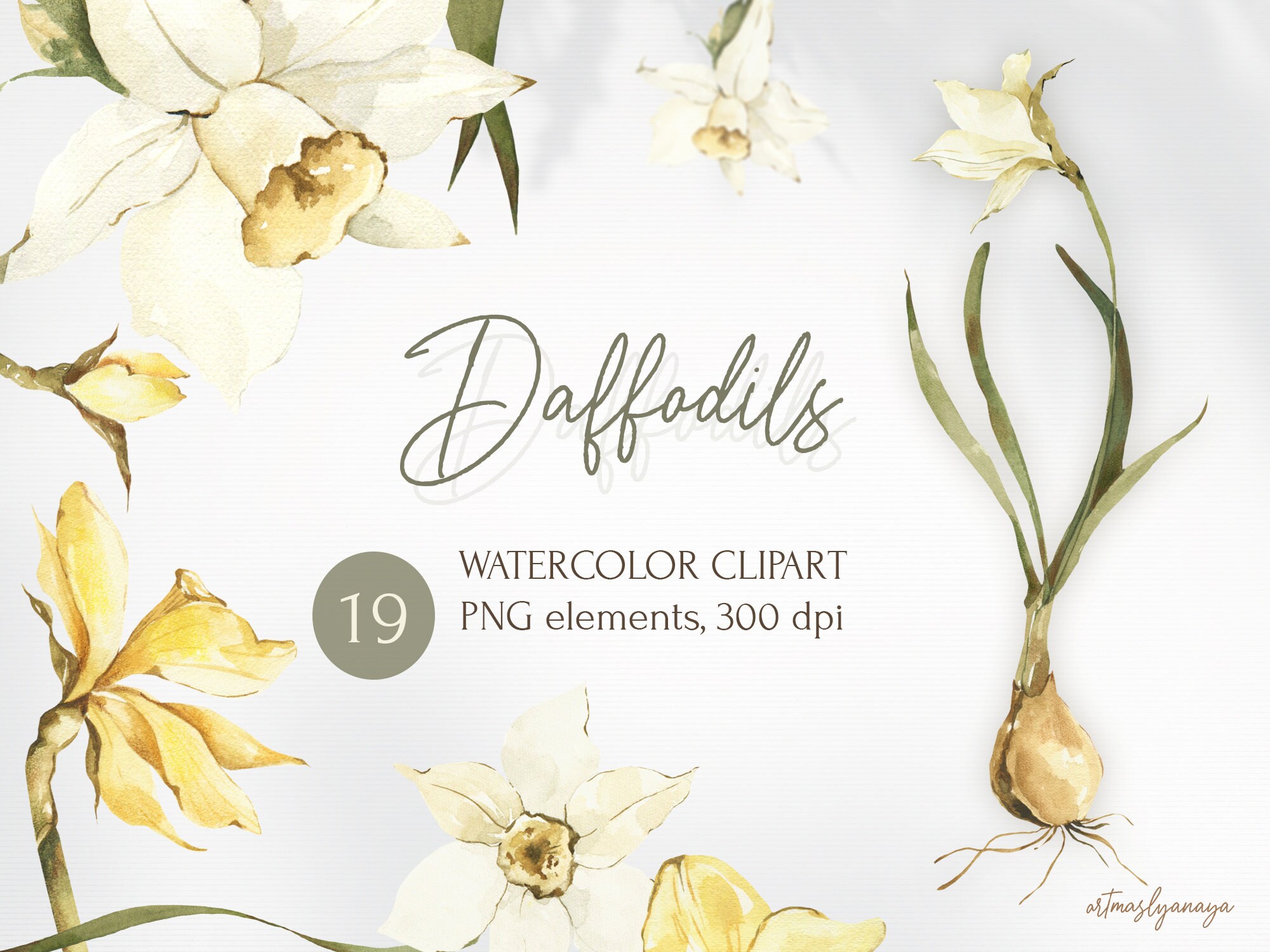 Watercolor Floral Clipart Daffodils Spring Collection of - Etsy