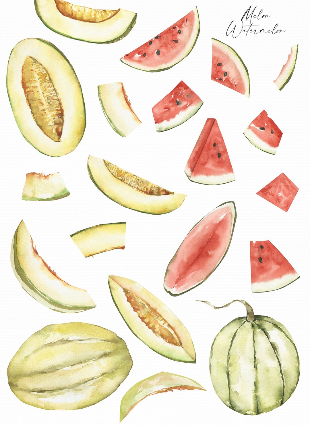 Watercolor Melon Watermelon Clipart. Digital Hand Painted Fruits, Berry ...