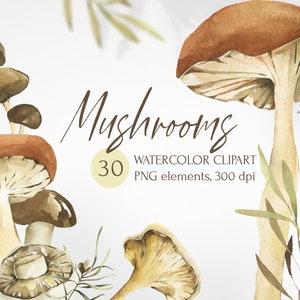 Watercolor Mushrooms Clipart. Digital Autumn Botanical Illustration for ...