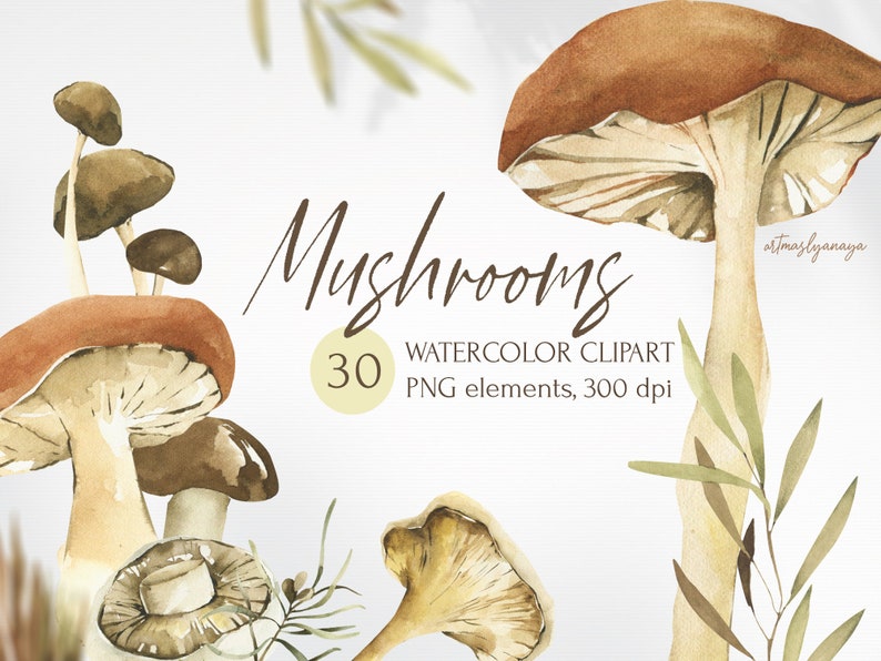 Watercolor Mushrooms Clipart. Digital Autumn Botanical Illustration for ...