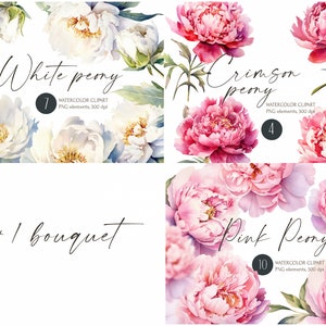 Peonies Flowers Watercolor Clipart for Instant Download, Free ...
