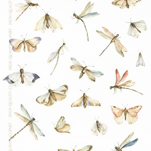 Watercolor Insects PNG Clipart. Butterfly, Moth, Dragonfly Collection ...