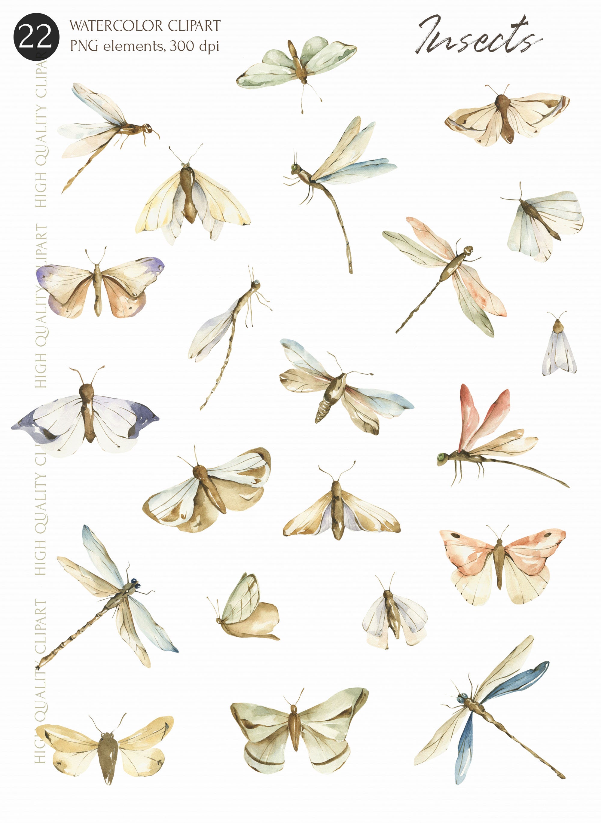 Watercolor Insects PNG Clipart. Butterfly Moth Dragonfly - Etsy