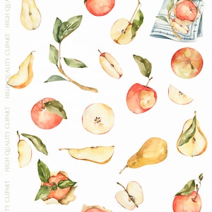 Watercolor Apples and Pears Clipart. Autumn, Thanksgiving Clipart ...