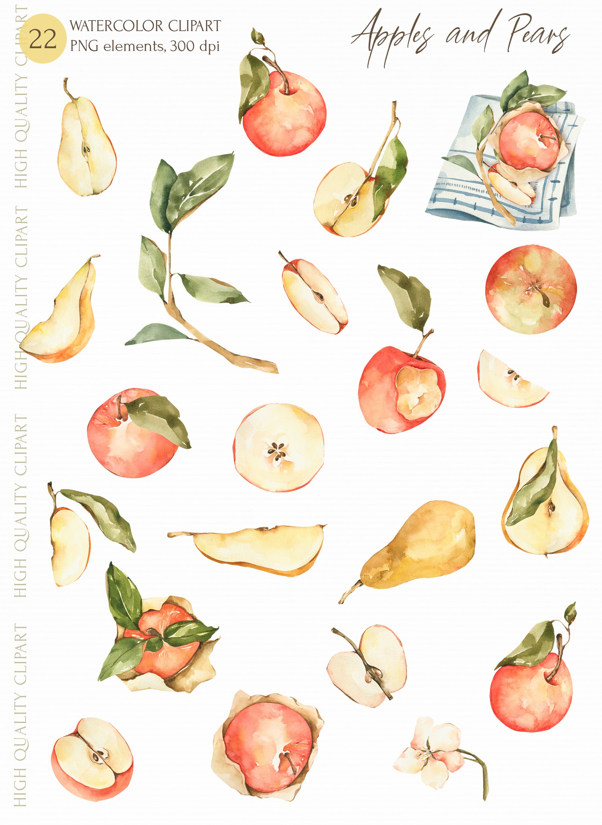 Watercolor Apples and Pears clipart. Autumn summer harvest of | Etsy