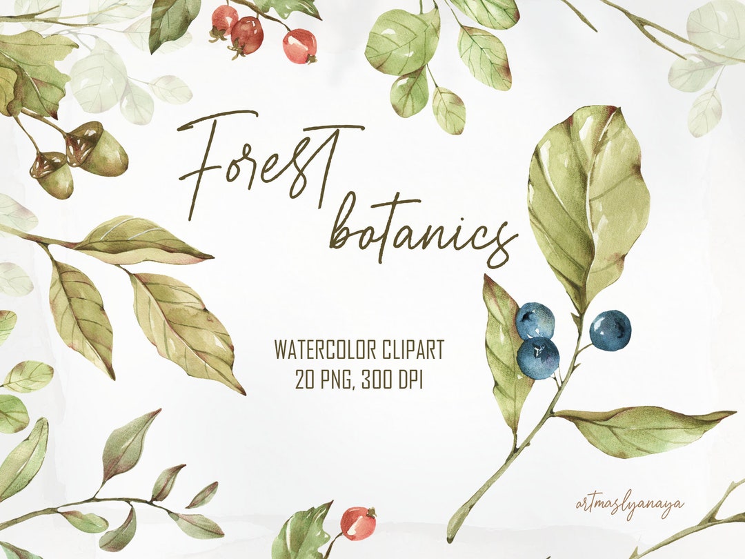 Watercolor Forest Botanics Clipart for Instant Download. Botanical ...