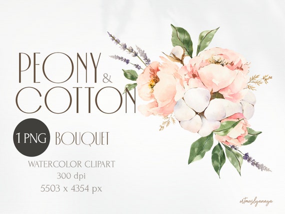 Watercolor Floral Bouquet: Peony Flowers Cotton and Lavender. - Etsy