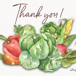 Watercolor Fresh Vegetables Clipart Set for Instant Download. PNG Hand ...