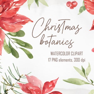 Watercolor Christmas Clipart. Poinsettia Mistletoe Plant Images ...