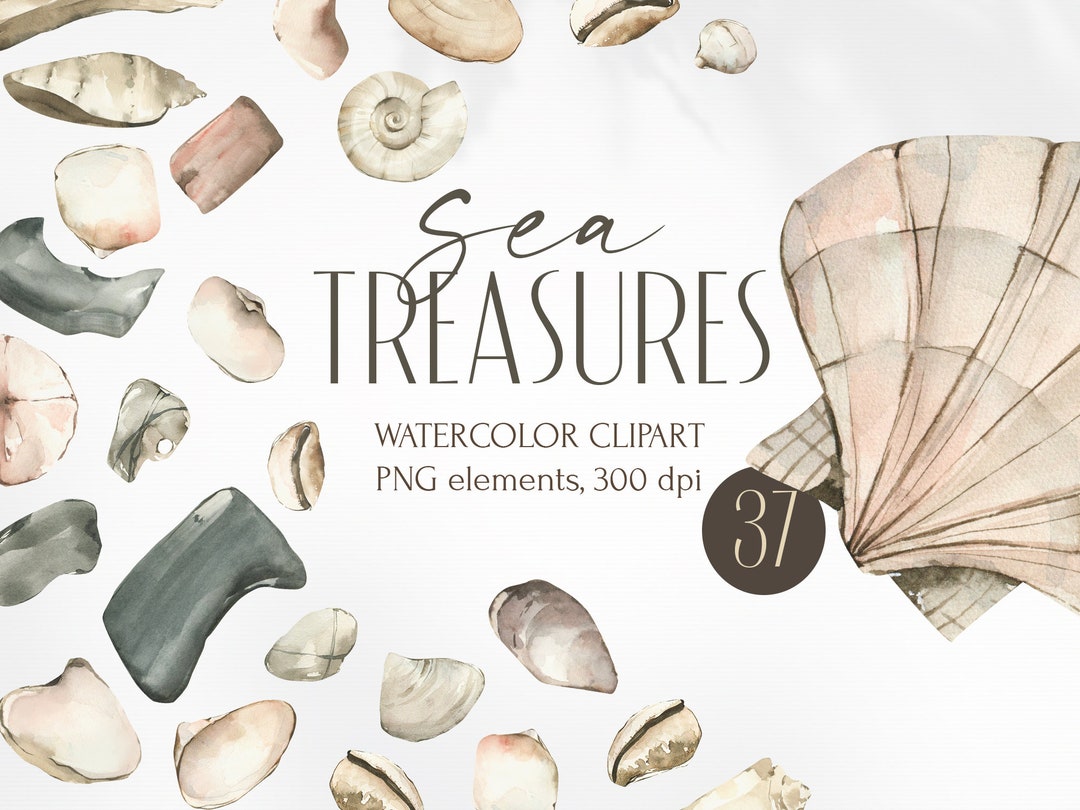 Watercolor Clipart Sea Treasures. Nautical Hand Drawn Elements for ...
