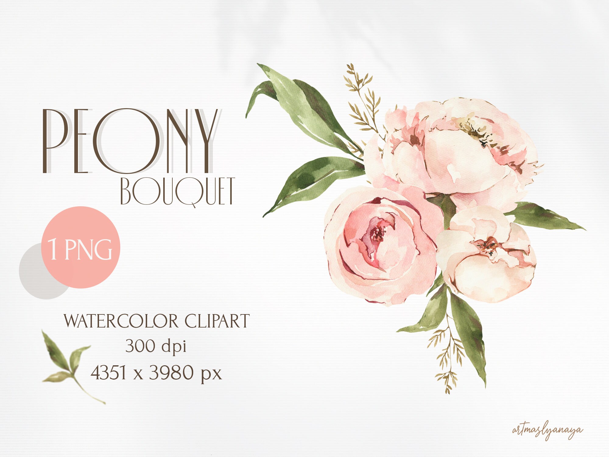 Hand Drawn Watercolor Clipart Peony Bouquet. Peonies - Etsy