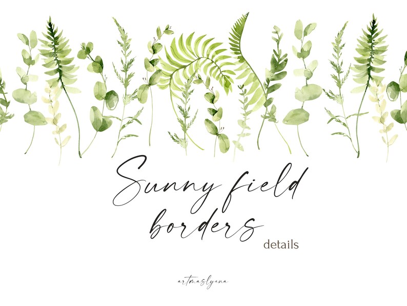 Watercolor Seamless Borders, Sunny Field Flowers and Greenery Borders ...