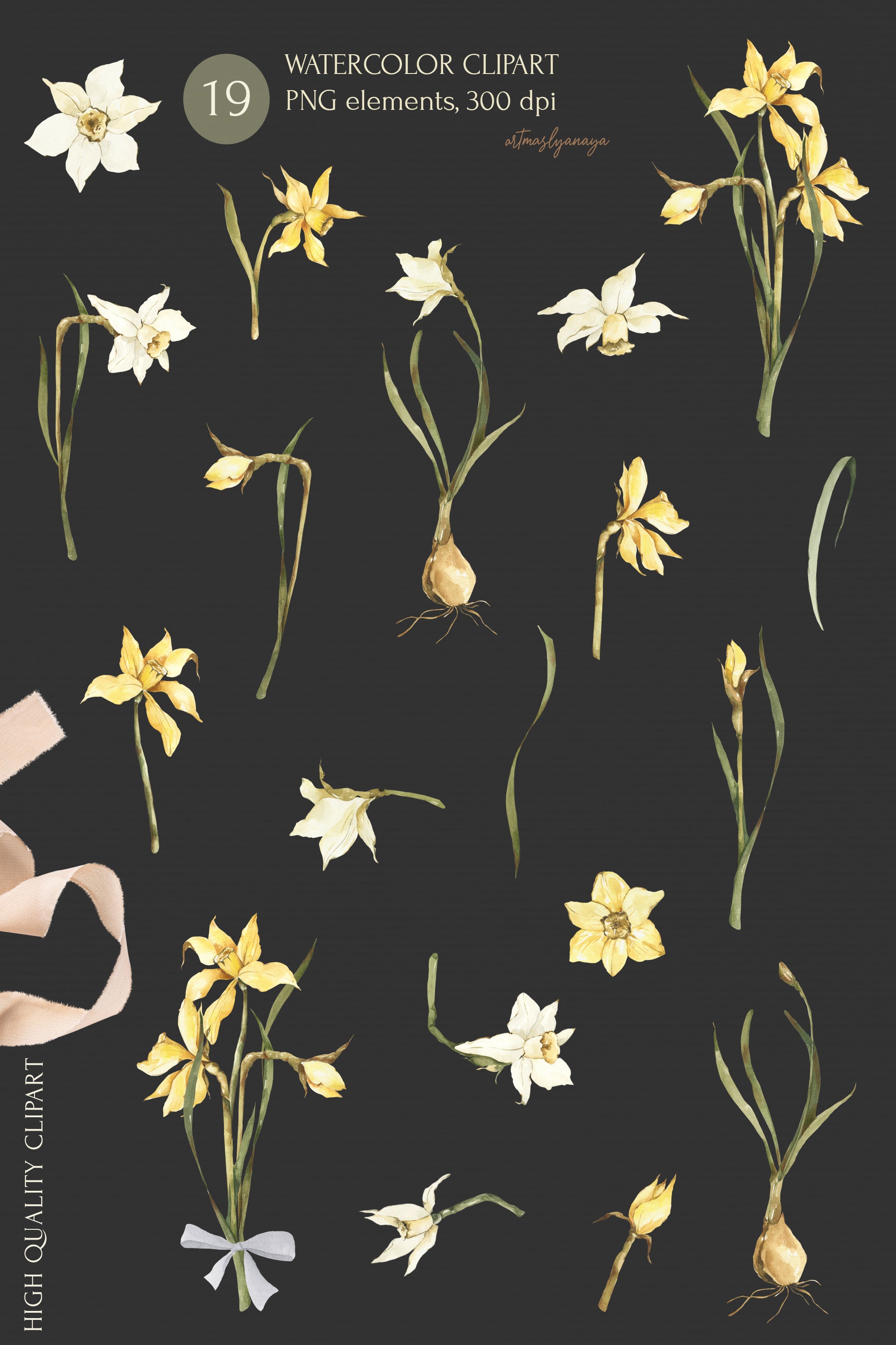 Watercolor Floral Clipart Daffodils Spring Collection of - Etsy