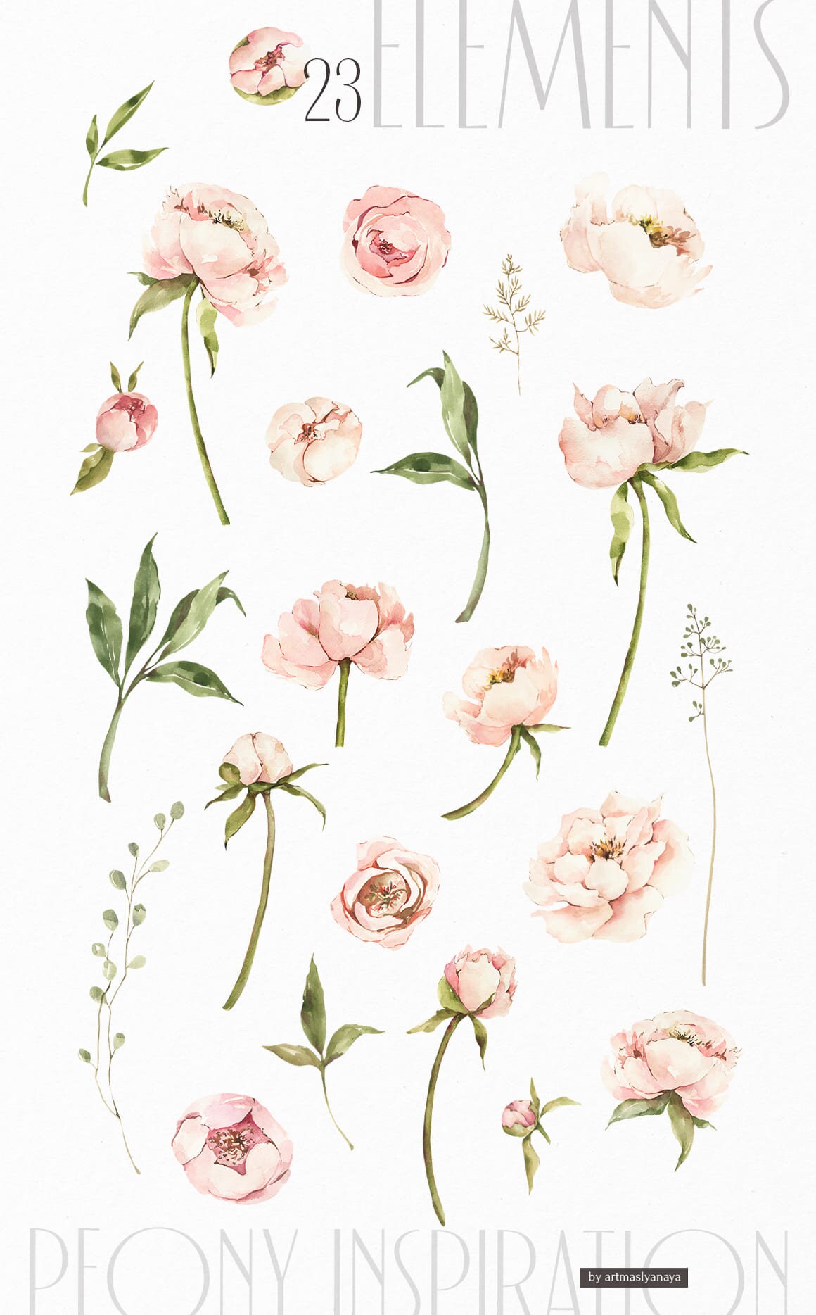 Watercolor Peony Spring Clipart. Wedding Design Illustrations - Etsy