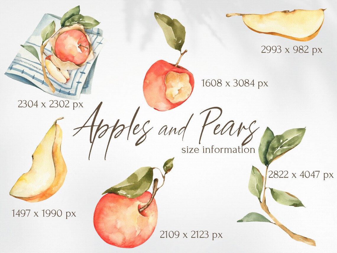 Watercolor Apples and Pears clipart. Autumn summer harvest of | Etsy