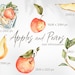 Watercolor Apples and Pears Clipart. Autumn, Thanksgiving Clipart ...