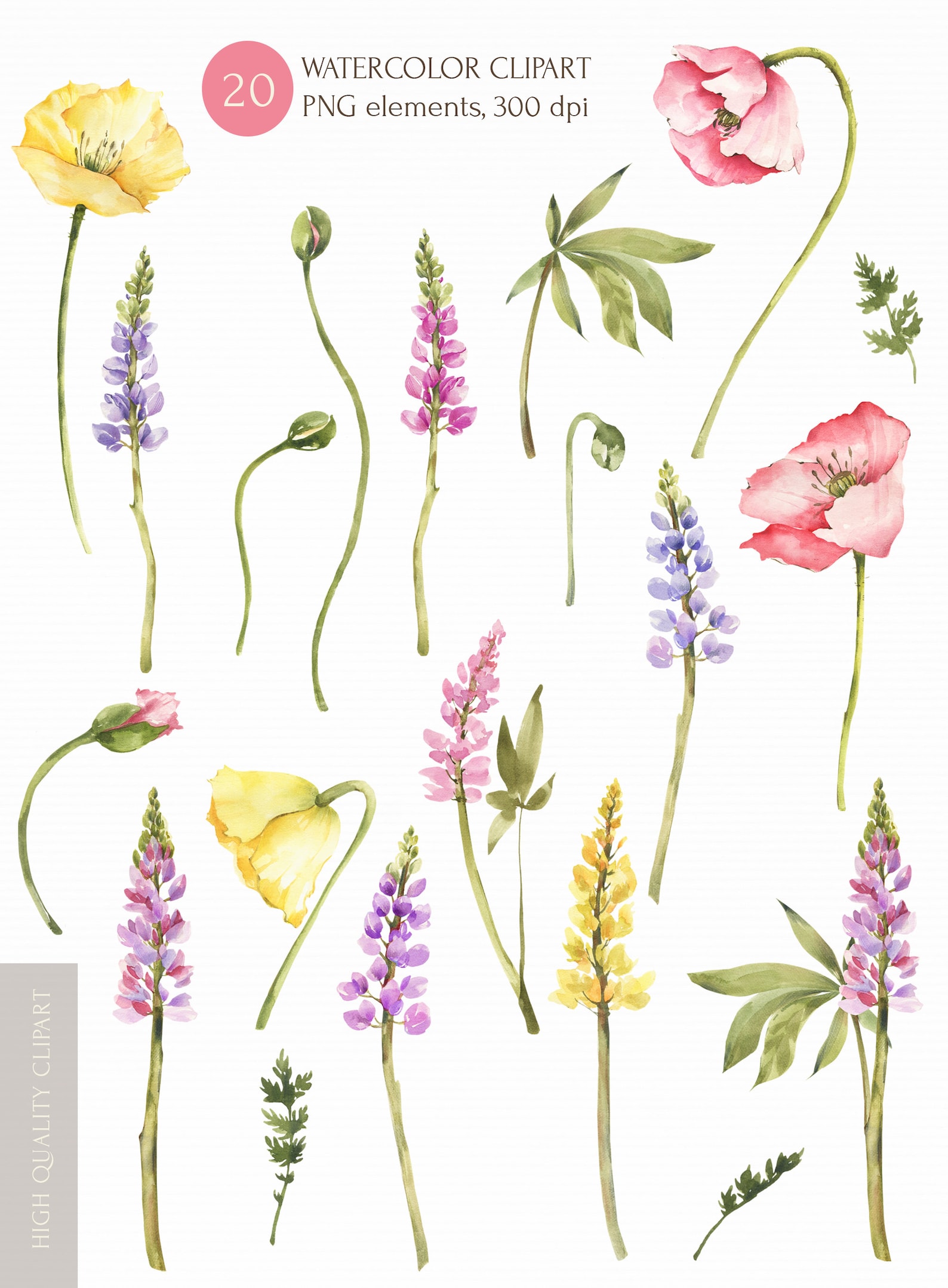 Watercolor Summer Flowers Clipart. Floral Elements: Yellow and | Etsy